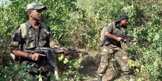 माओवादी नेता गडचिरोलीत जेरबंद - Majha Paper