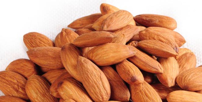 बदामाचे फायदे - Majha Paper